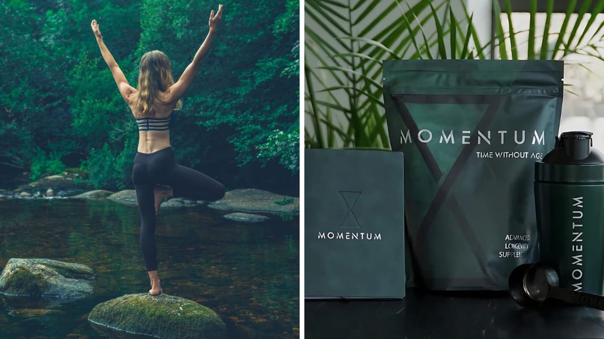 Momentum Shake: Why This Is the Ultimate Nutrition Boost You Need in ...